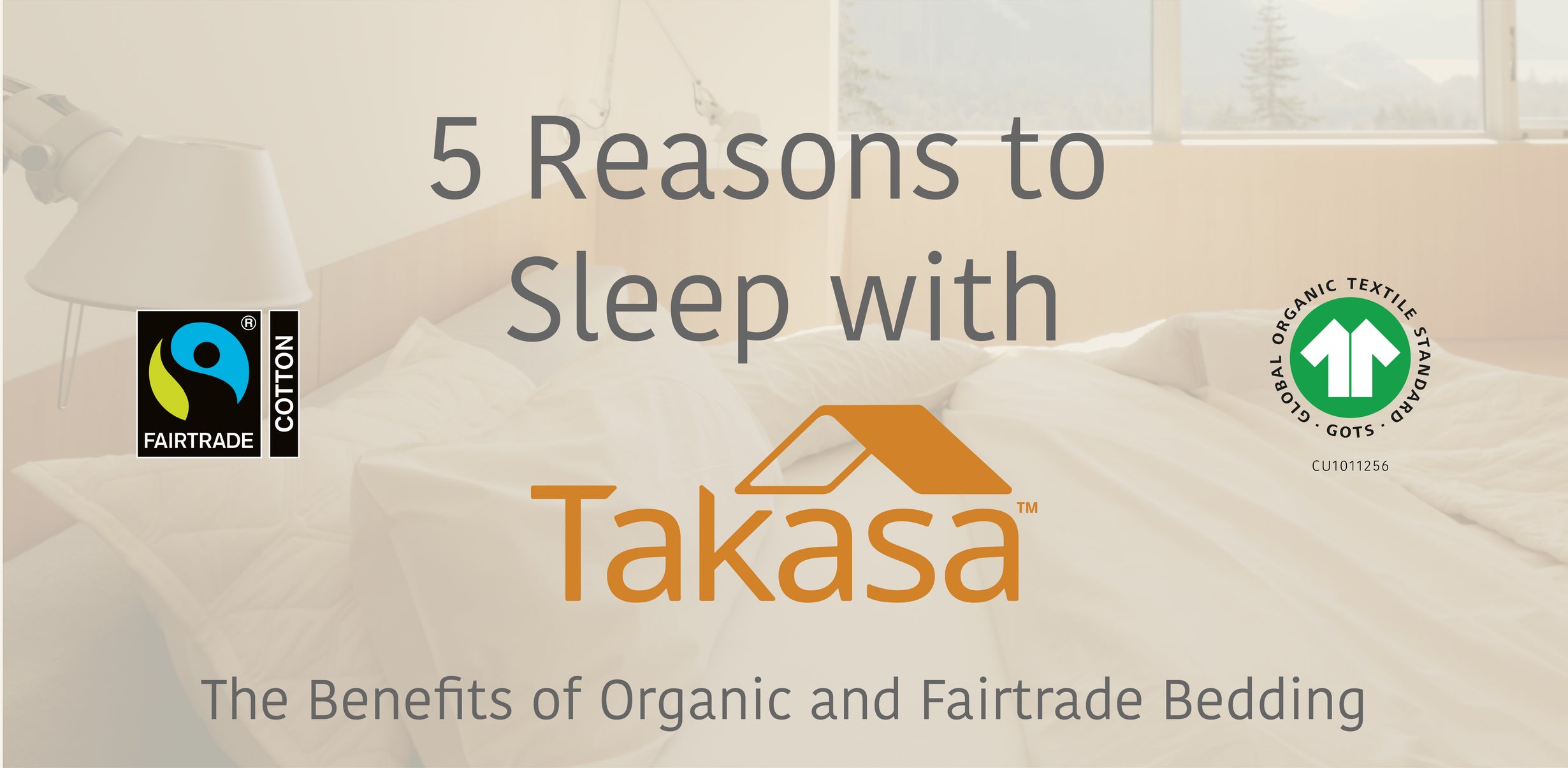 5 Reasons to Choose Takasa for Your Home