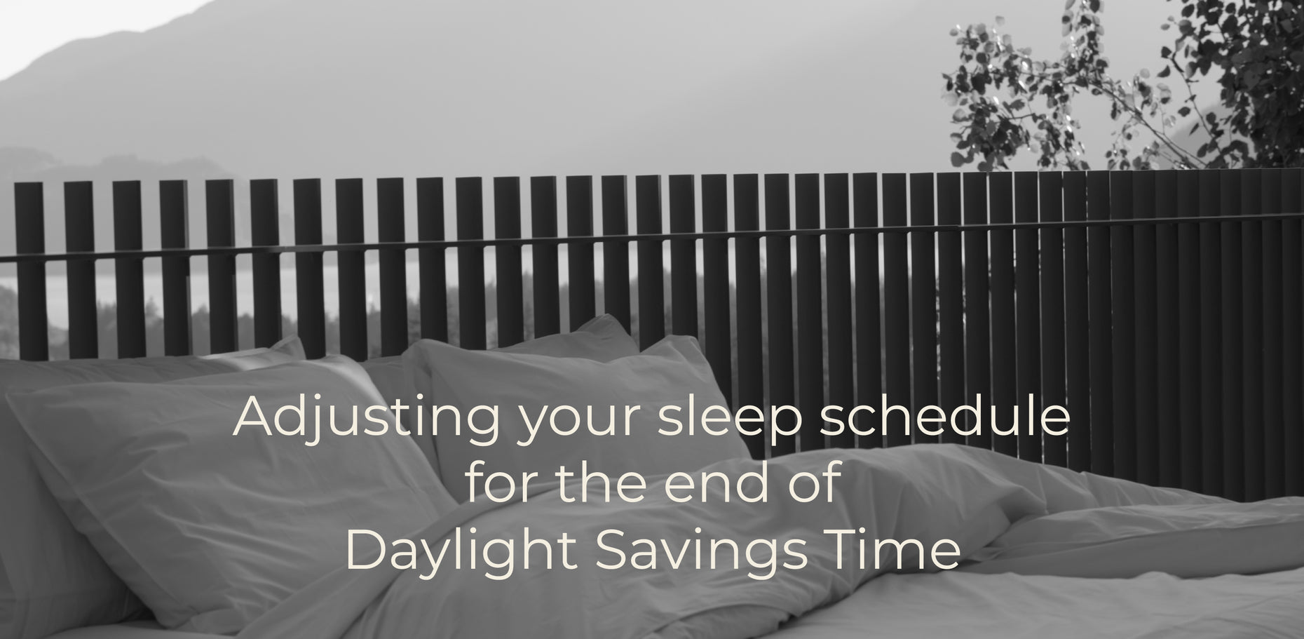 Adjusting your Sleep Schedule for the end of Daylight Savings Time (DS